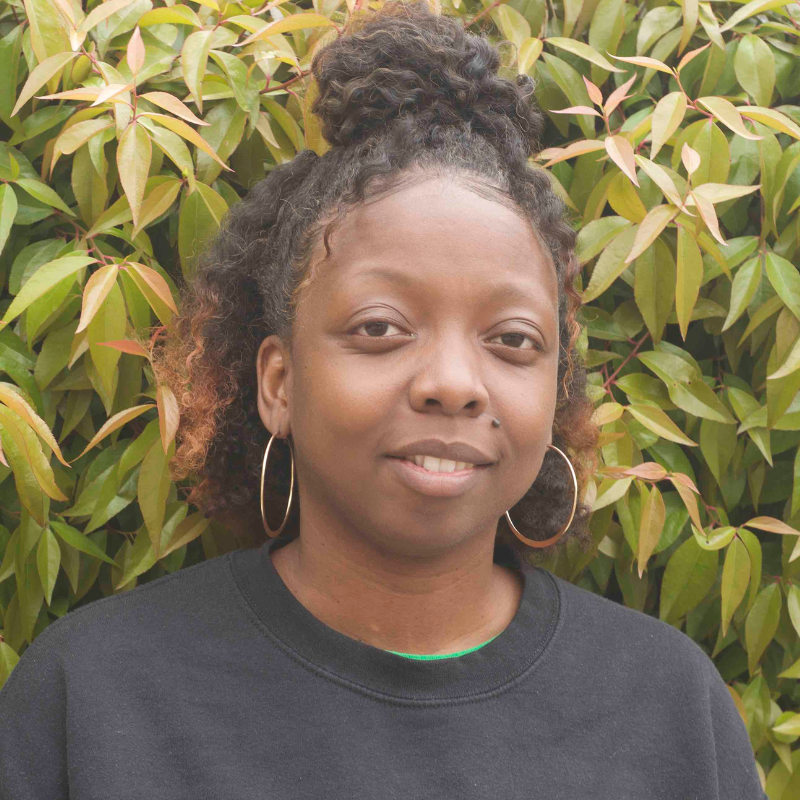 Transitional TK vs Pre-Kingergarten